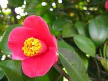 Naidong - صفحات - 1 - العالم المعرفة الموسوعية